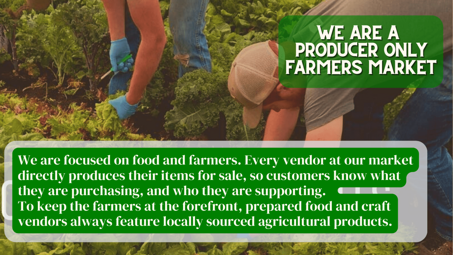 QC Farmers Market – The Quad Cities area's homegrown farmers' market